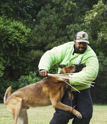 Personal Protection Dog Training | k9aholics.com