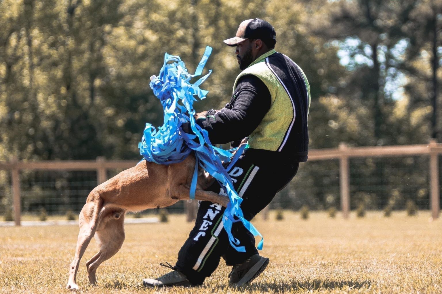 Personal Protection Dog Training in Virginia Beach, VA