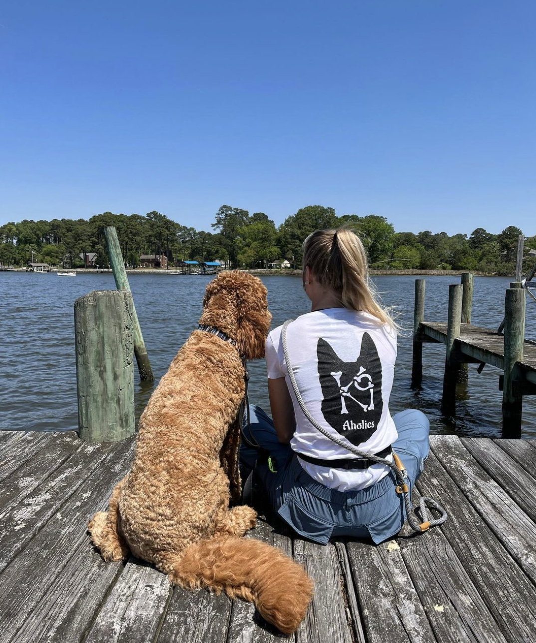 Building a Strong Bond: Relationship-Based Dog Training